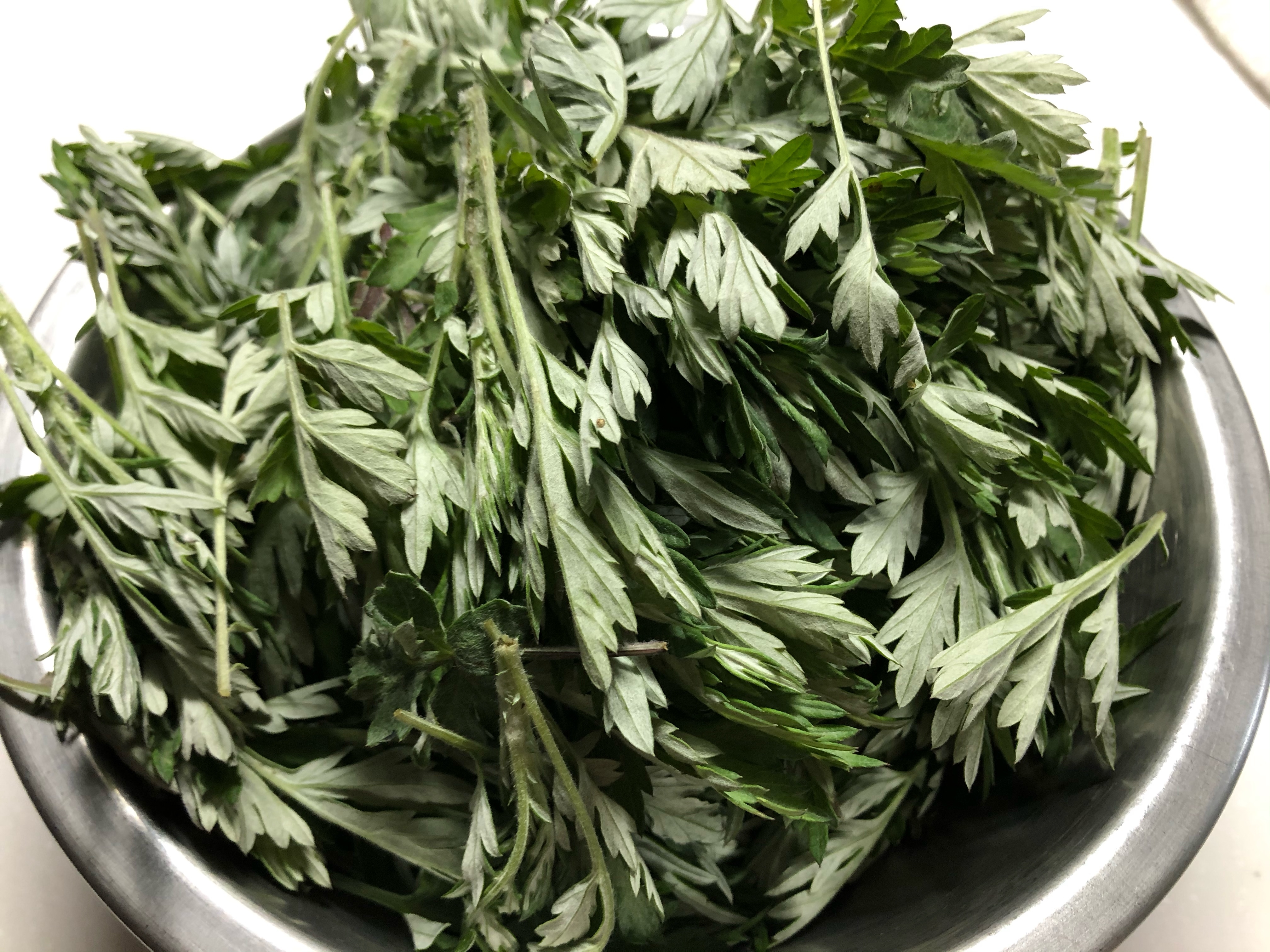 よもぎを摘んで♬草もち作り レシピ・作り方 by 善ちゃん - 楽天レシピ